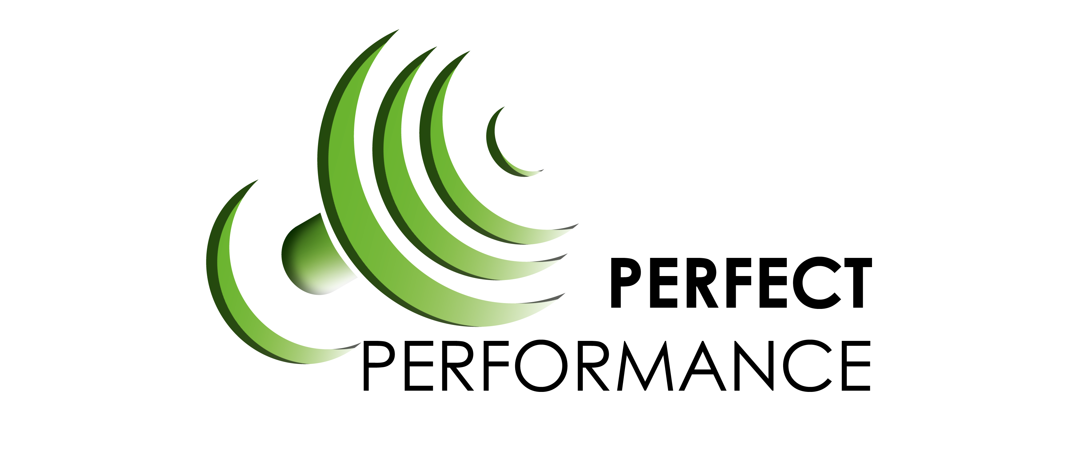 Perfect Performance I Individuelles Personalcoaching